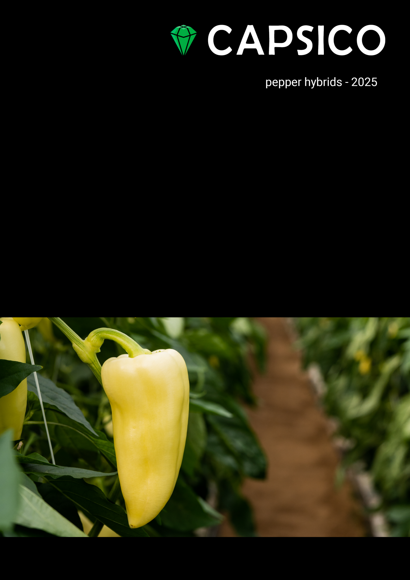 Catalogue