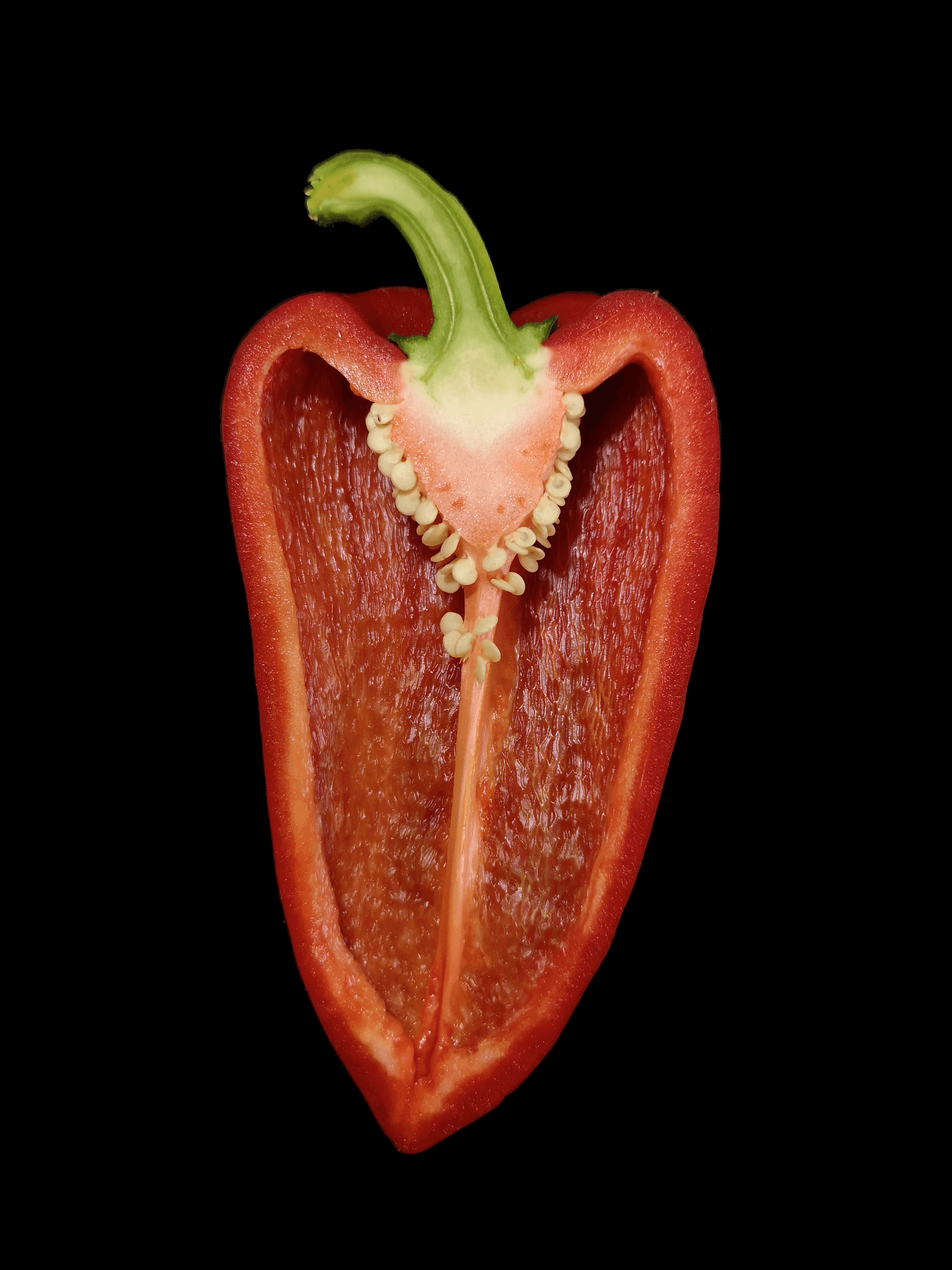 Capsico